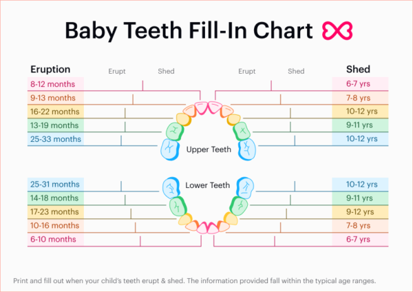 Baby Teeth Chart: What Order & When They Come In | Sittercity